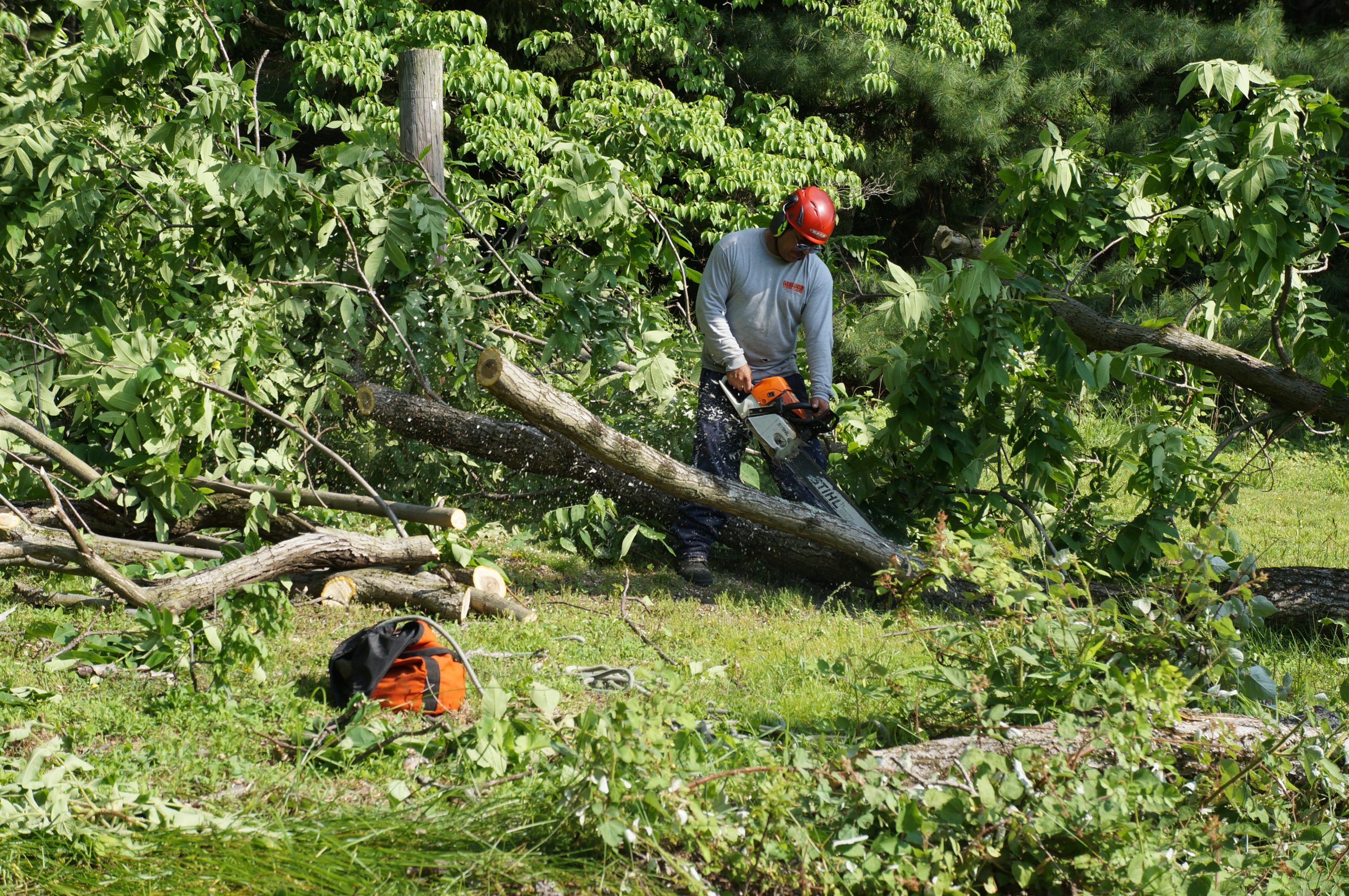 Bridgewater Tree Removal - Emergency Tree Care Services - Keiling Tree Care